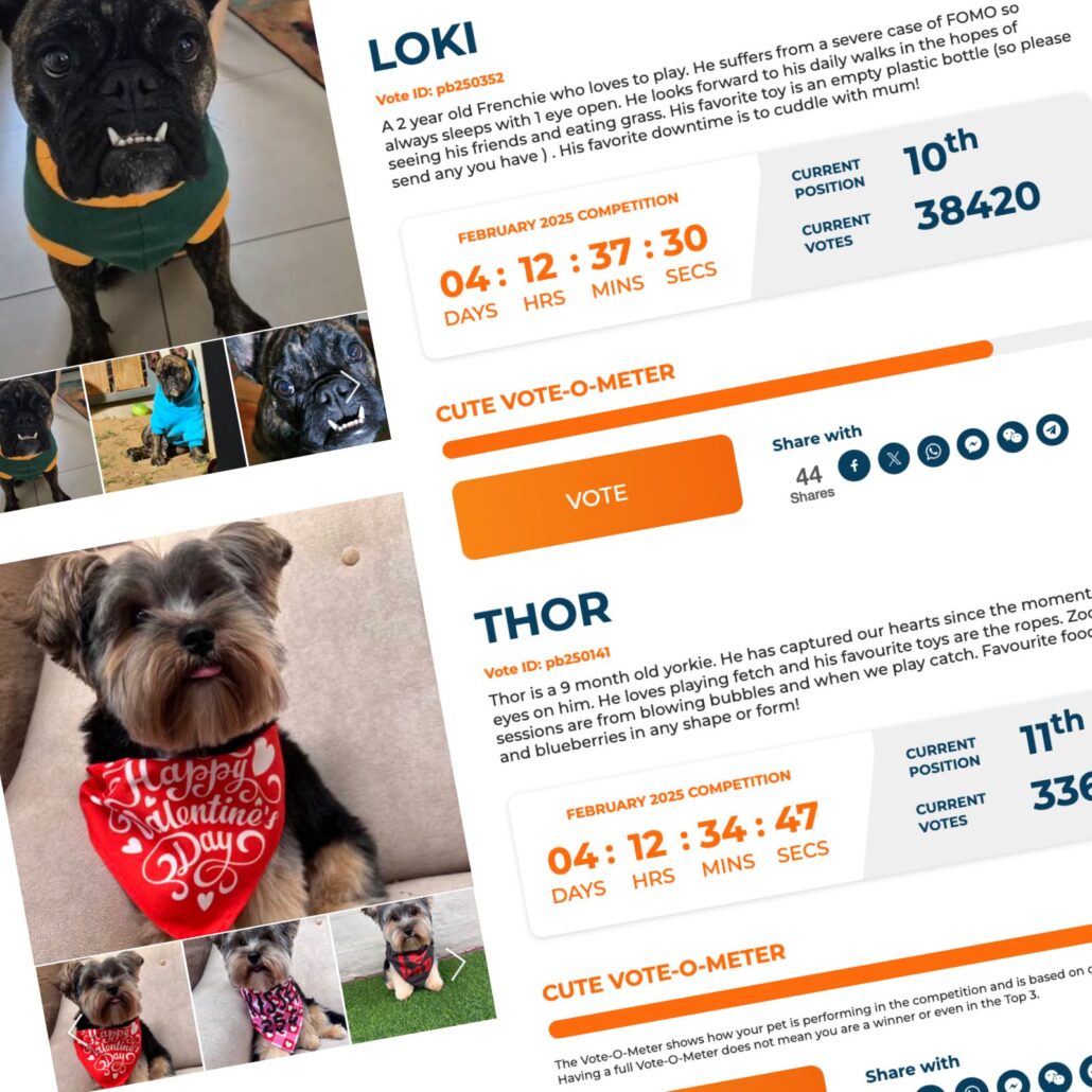 Cute Pet South Africa | SA's Original Cutest Pet Photo Contests